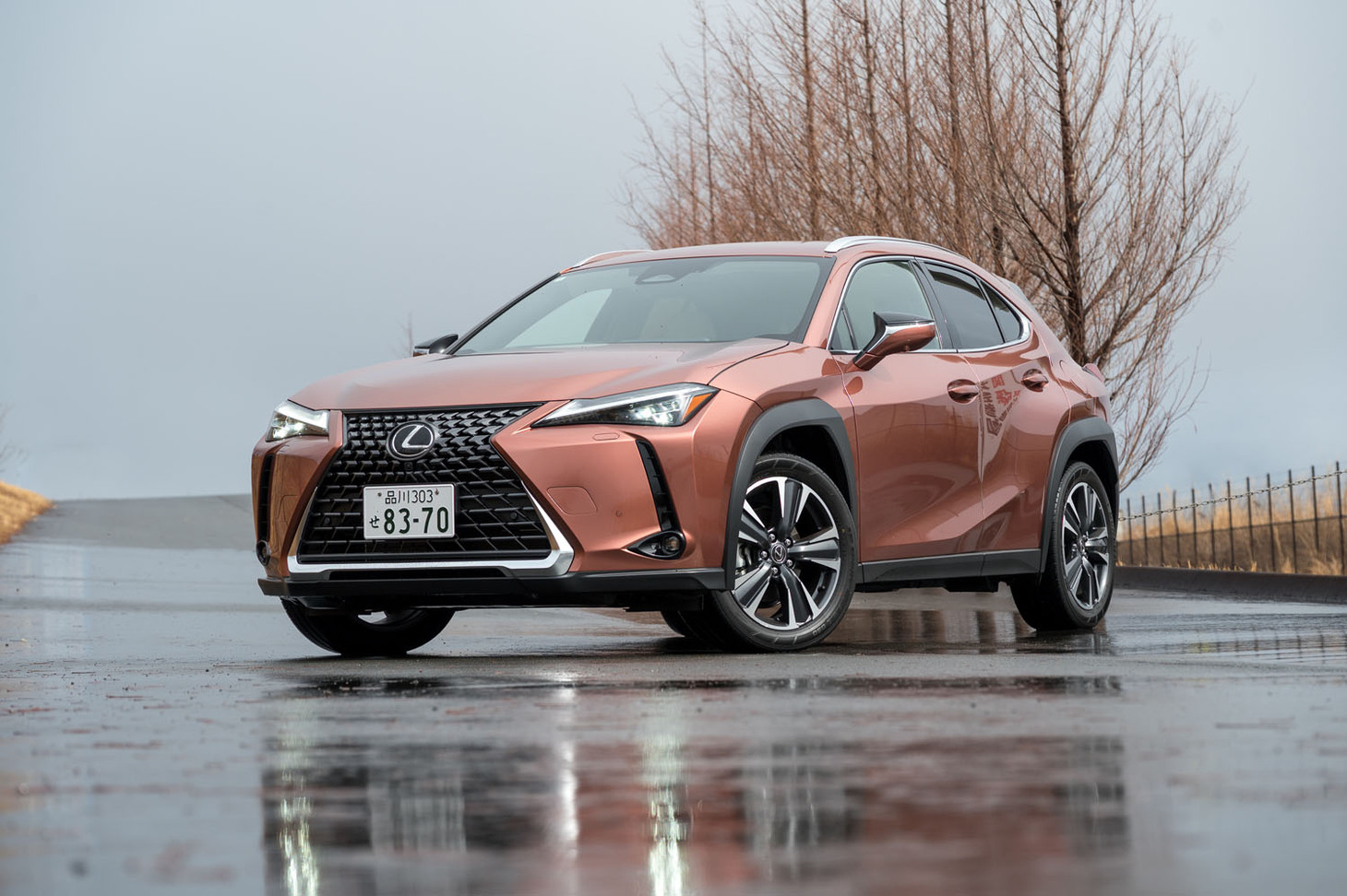 レクサスUX300h“バージョンL”（4WD/CVT）【試乗記】 の画像19枚 - webCG