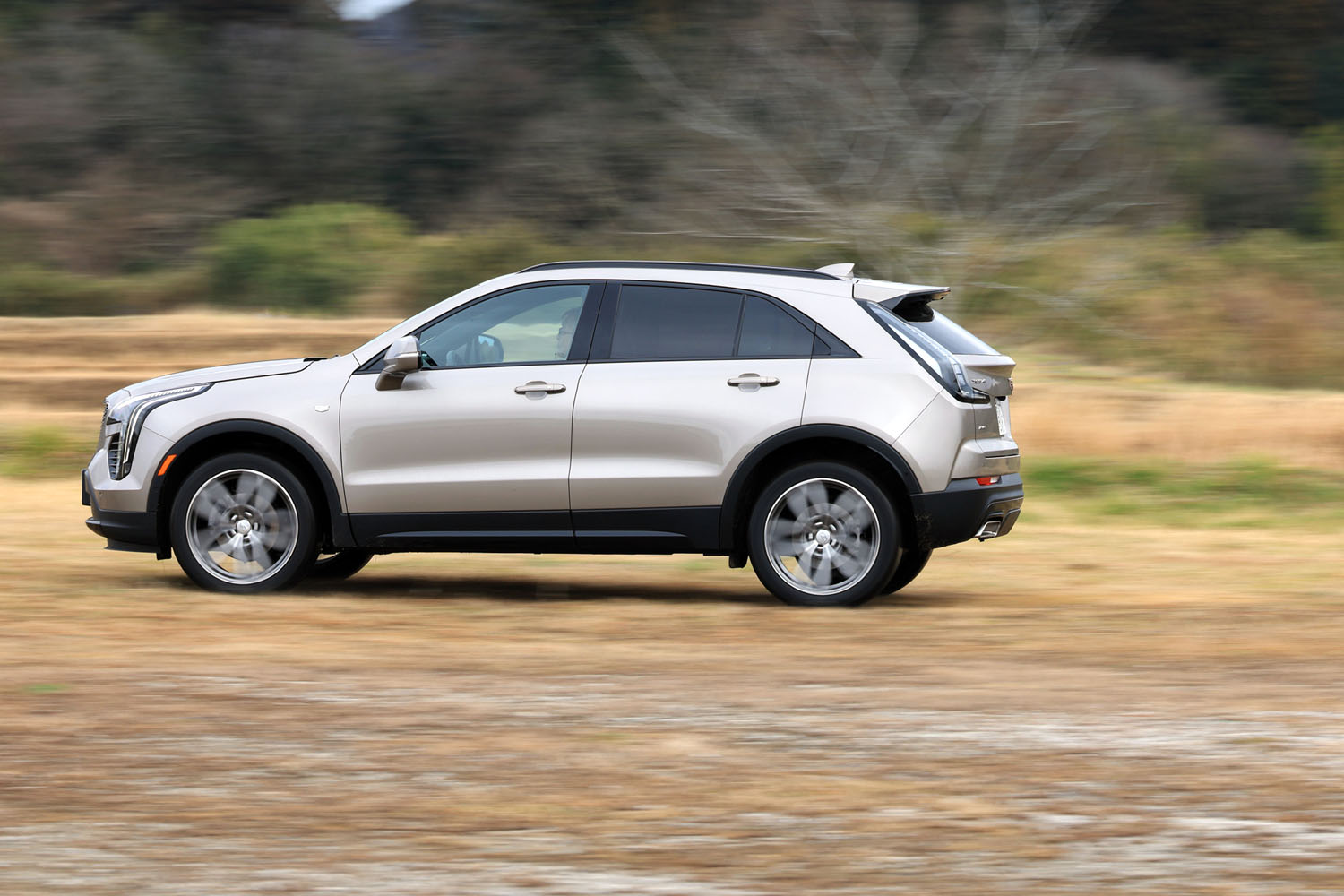 キャデラックXT4ラテエディションに宿る独創のプレミアム 【CADILLAC XT4 LATTE EDITION 早春の房総を駆ける＜AD＞】 - webCG