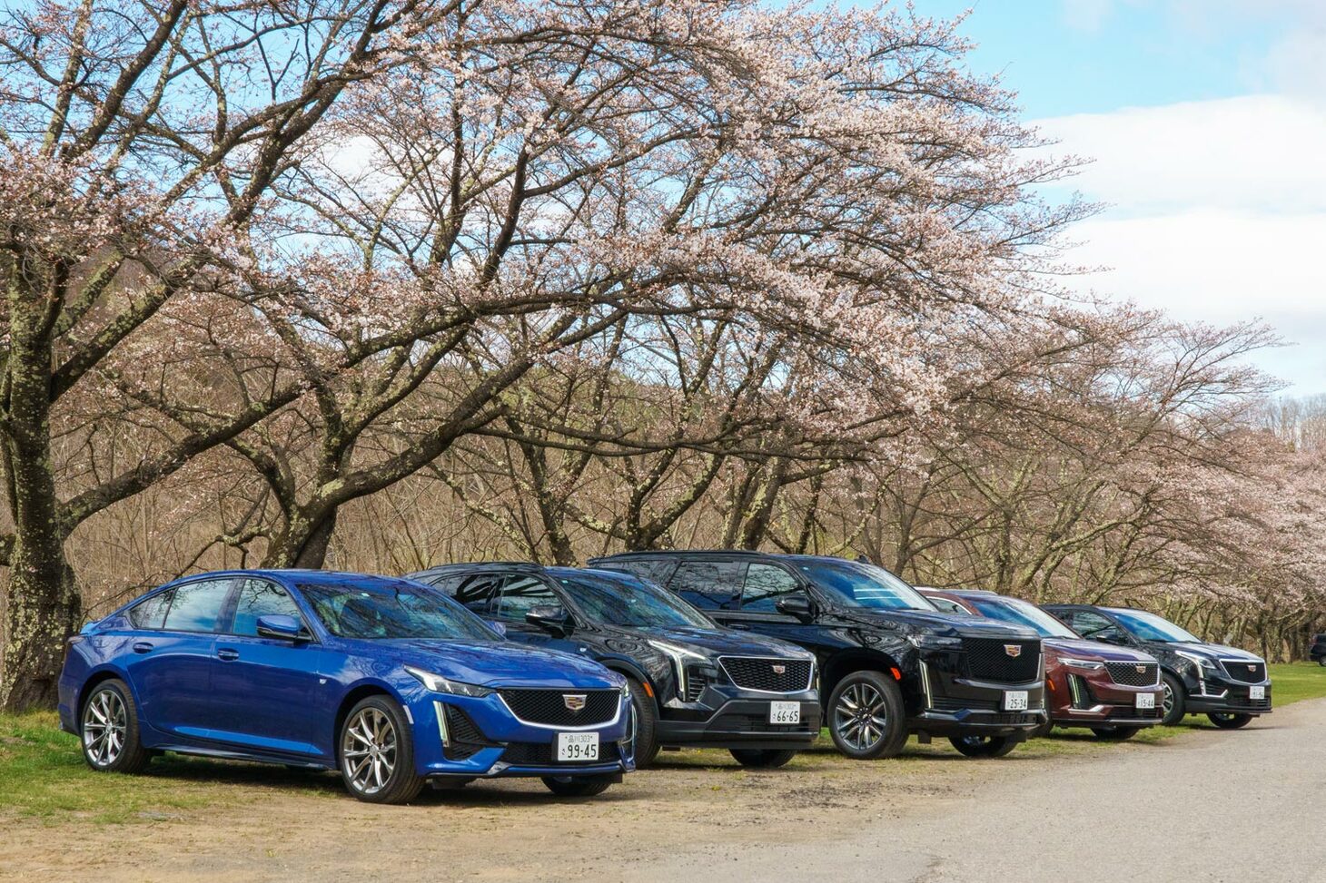 キャデラックCT5／XT4／XT5／XT6／エスカレード【試乗記】 の画像41枚 - webCG