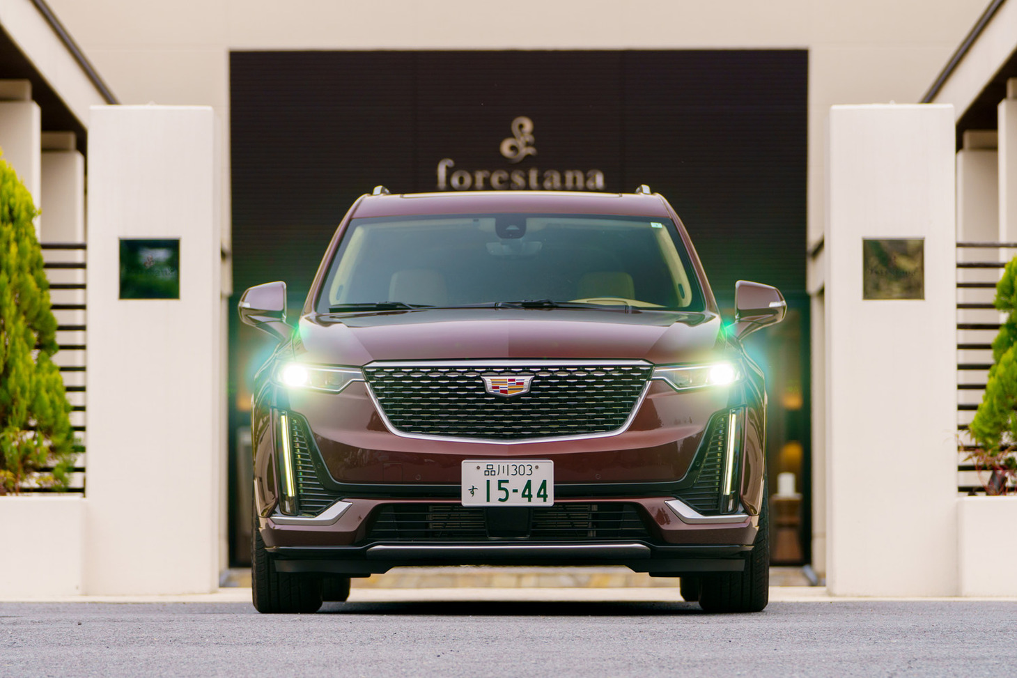 キャデラックCT5／XT4／XT5／XT6／エスカレード【試乗記】 の画像41枚 - webCG