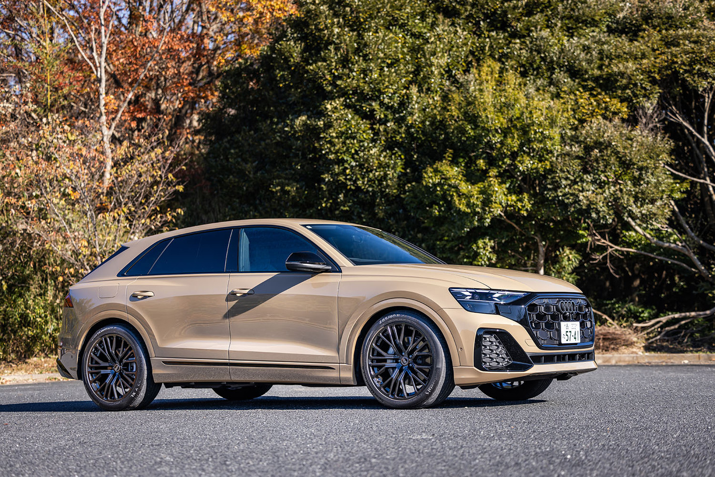 アウディQ8 50 TDIクワトロSライン（4WD/8AT）【試乗記】 の画像19枚 - webCG