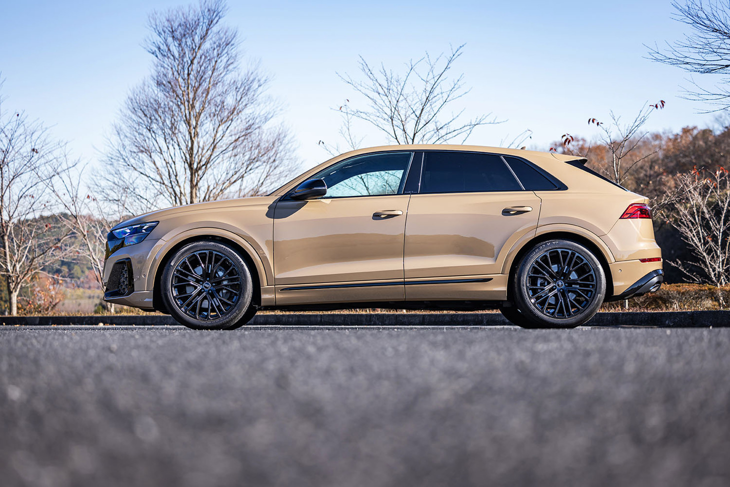 アウディQ8 50 TDIクワトロSライン（4WD/8AT）【試乗記】 の画像19枚 - webCG