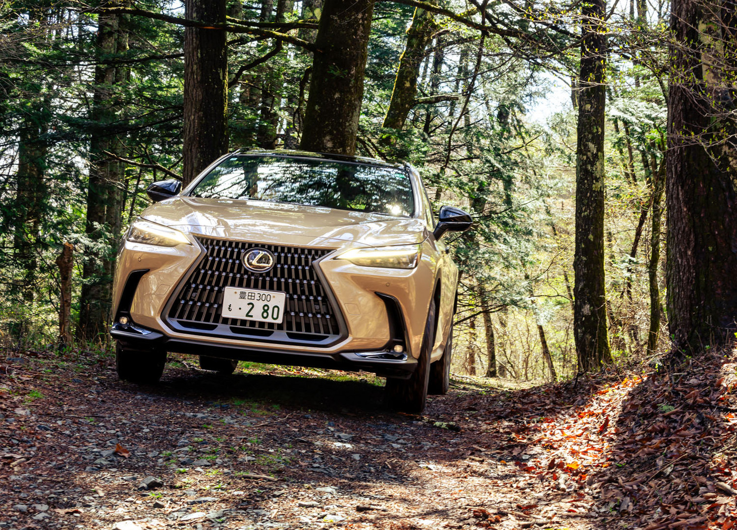 レクサスNX450h＋“オーバートレイル”（4WD/CVT）【試乗記】 無音で踏みしめる感触 - webCG