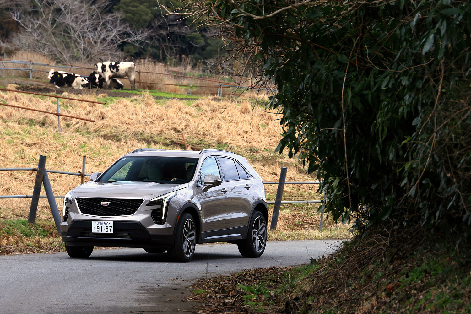 キャデラックXT4ラテエディションに宿る独創のプレミアム 【CADILLAC XT4 LATTE EDITION 早春の房総を駆ける＜AD＞】 - webCG