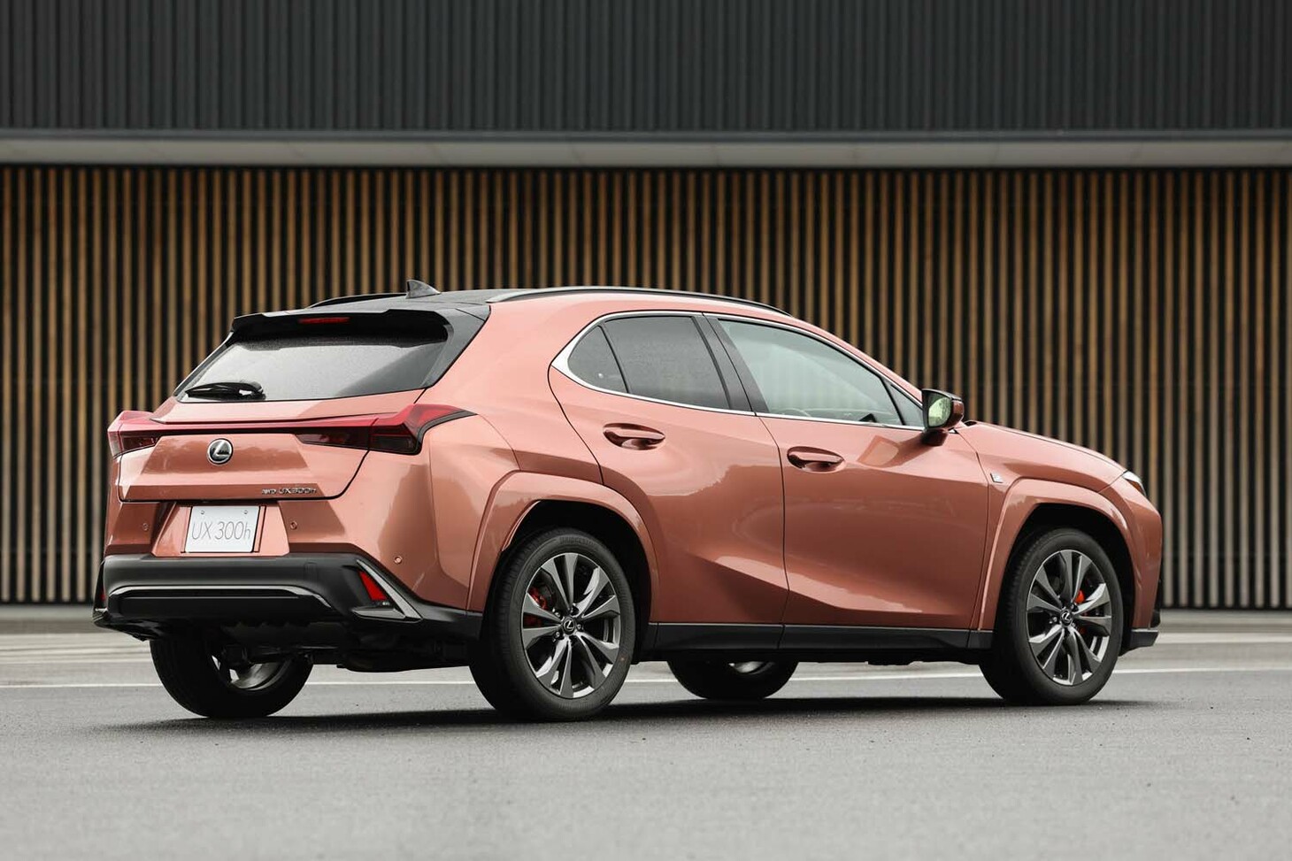 レクサスUX300eプロトタイプ／UX300hプロトタイプ【試乗記】 の画像21枚 - webCG