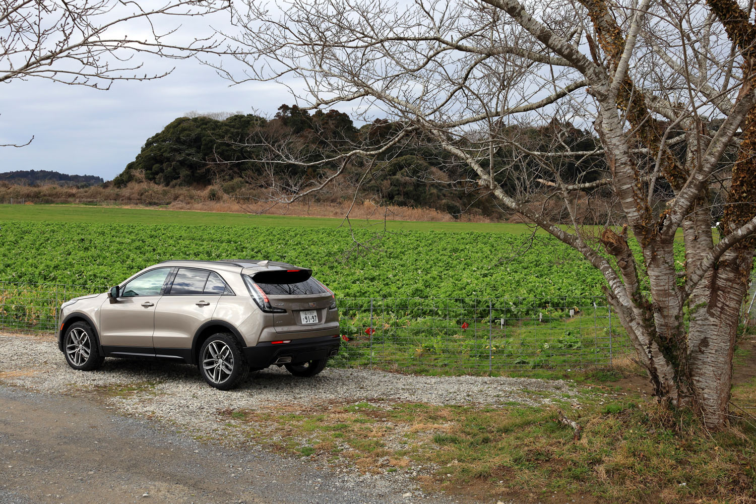 キャデラックXT4ラテエディションに宿る独創のプレミアム 【CADILLAC XT4 LATTE EDITION 早春の房総を駆ける＜AD＞】 - webCG