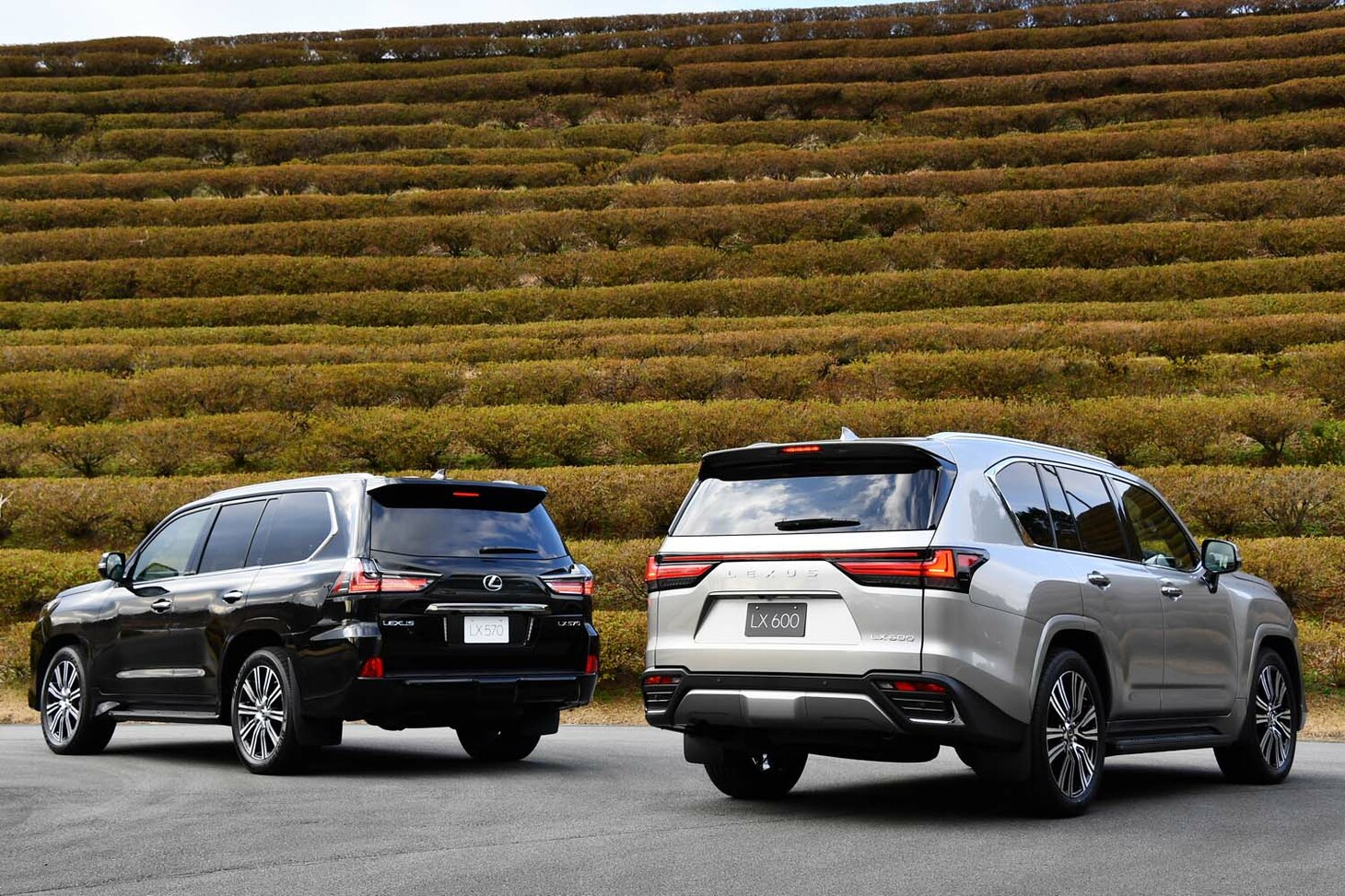 レクサスLX600 内装・外装など64枚 【画像・写真】 - webCG