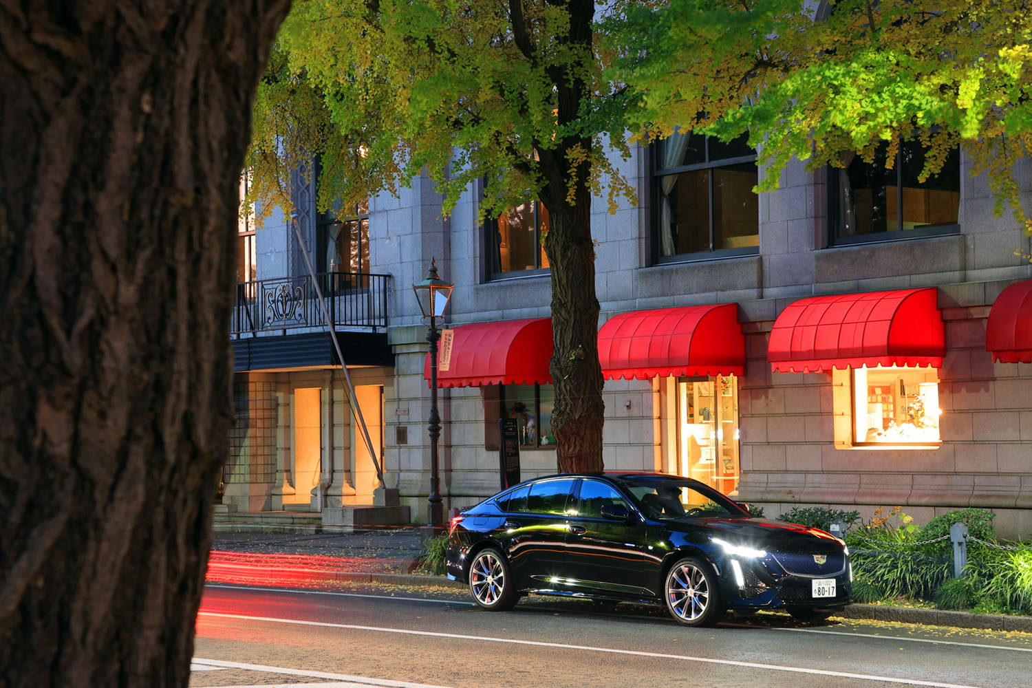 革新のプレミアムセダン キャデラックCT5を知る・試す 【CADILLAC CT5に宿る先進のブランドフィロソフィー＜AD＞】 - webCG