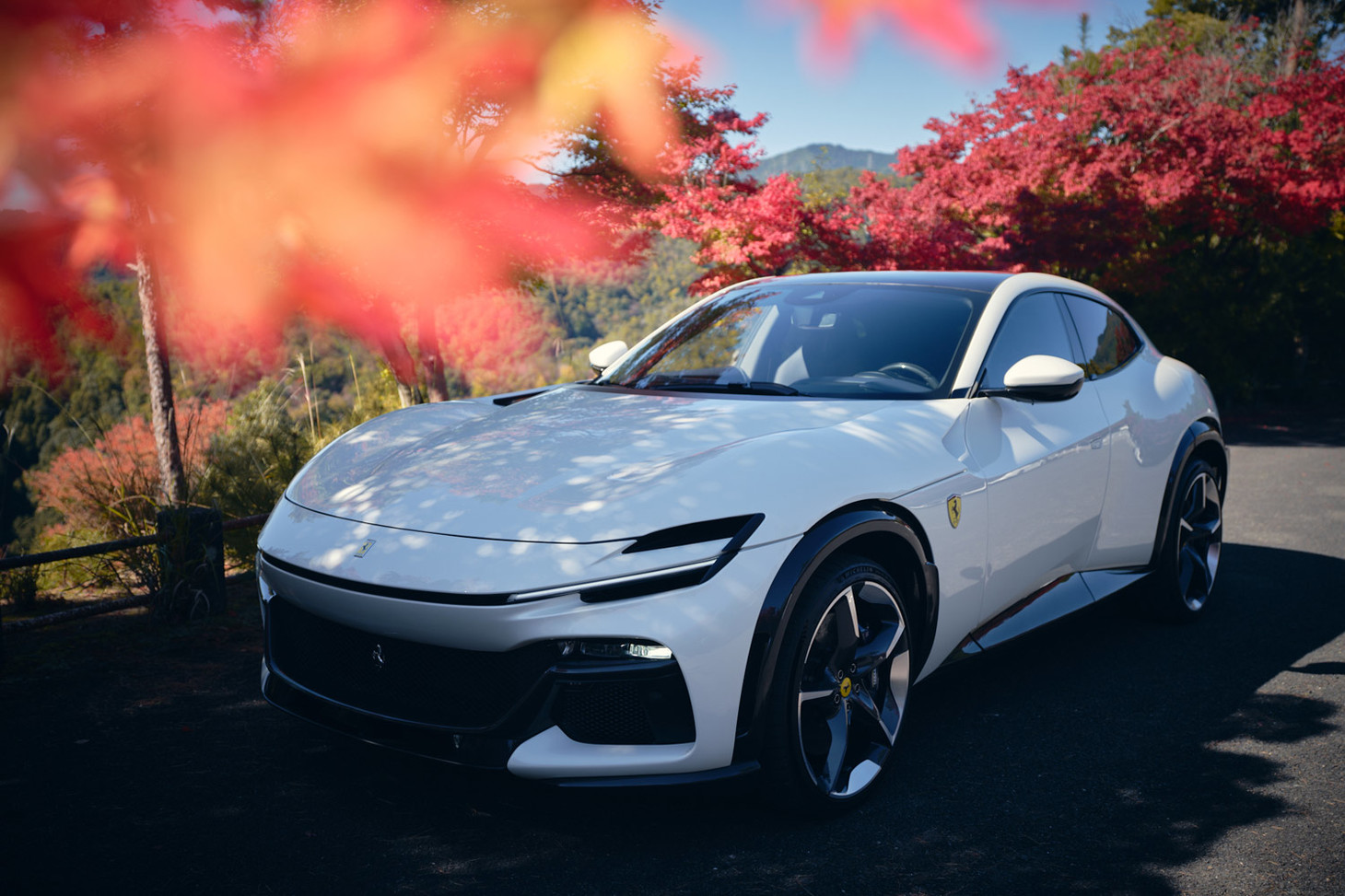 フェラーリ・プロサングエ 内装・外装など53枚 【画像・写真】 - webCG