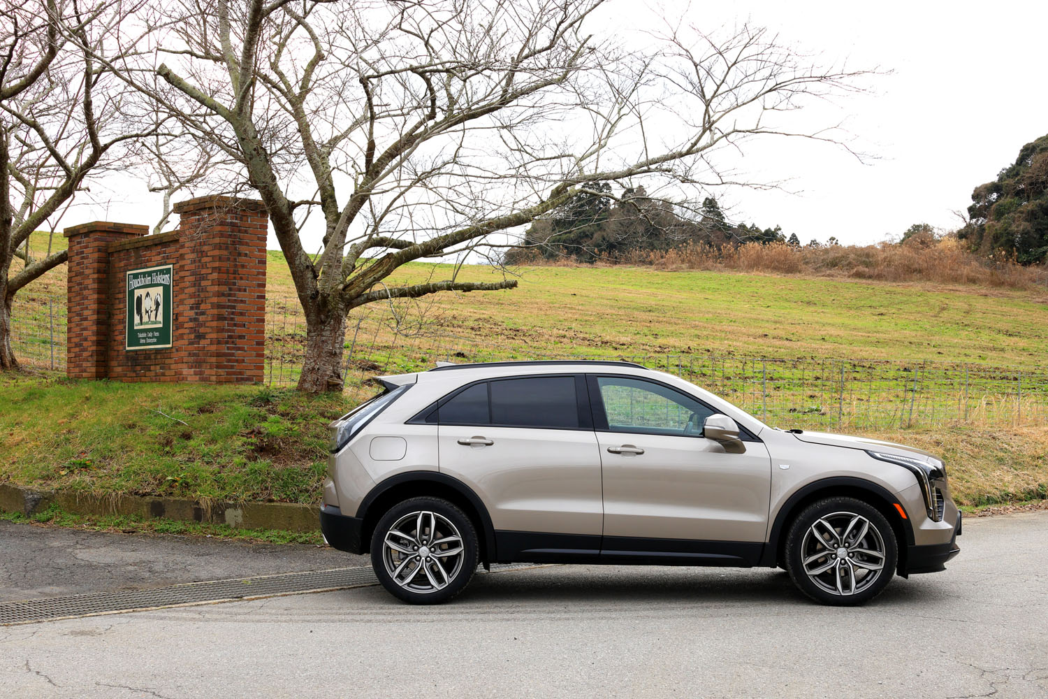 キャデラックXT4ラテエディションに宿る独創のプレミアム 【CADILLAC XT4 LATTE EDITION 早春の房総を駆ける＜AD ...